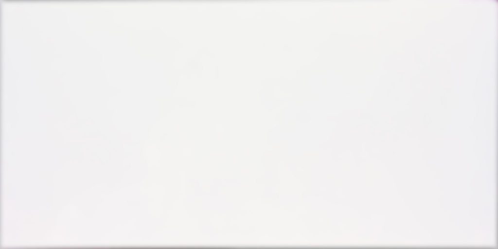 Silk Blanco 30x60 - Palorosa En